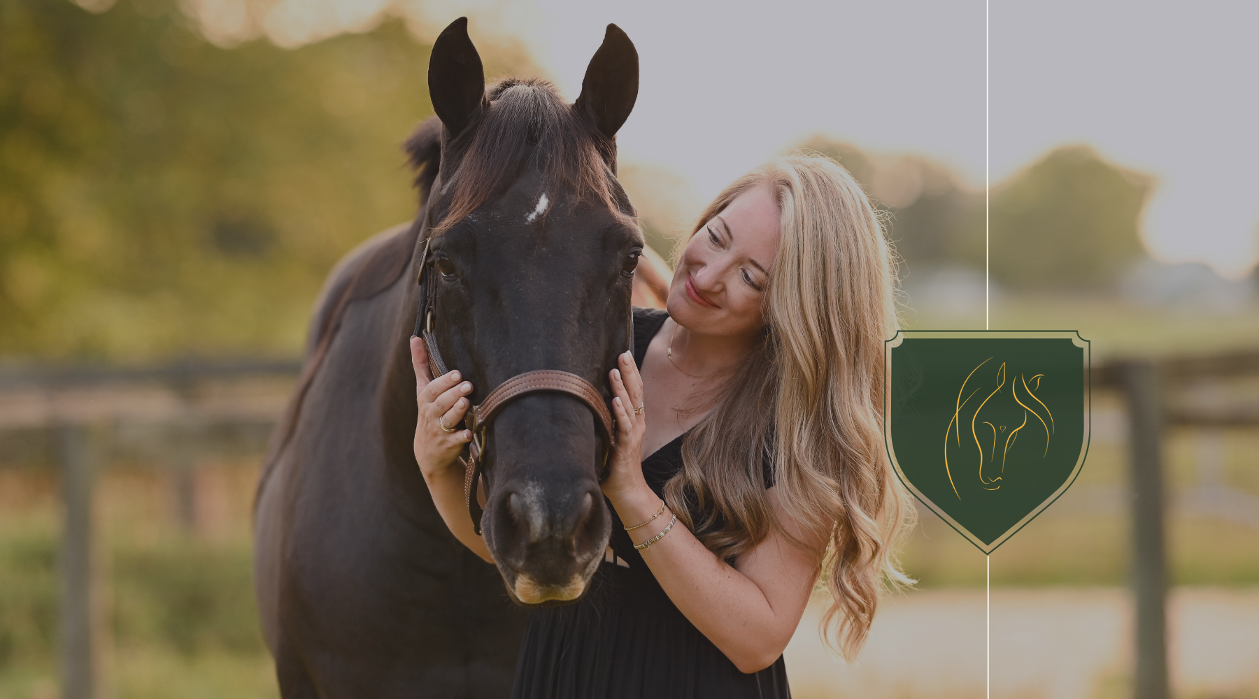 April's Anti-inflammatory horse cookies recipe