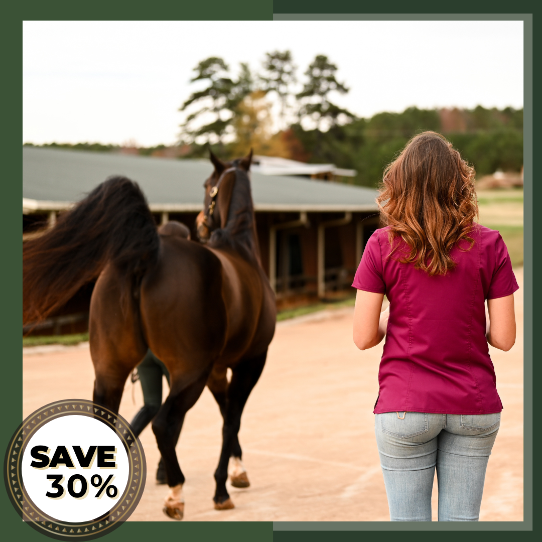 RACE-Approved Equine Vet Tech CE Bundle: Courses on Sociology, Physiology, Gastro Health ...