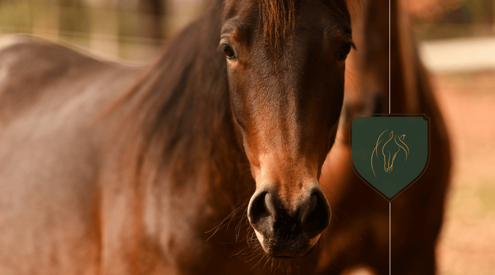 Can Horses Eat Strawberries? A Guide to Safe Fruits for Your Equine Friend