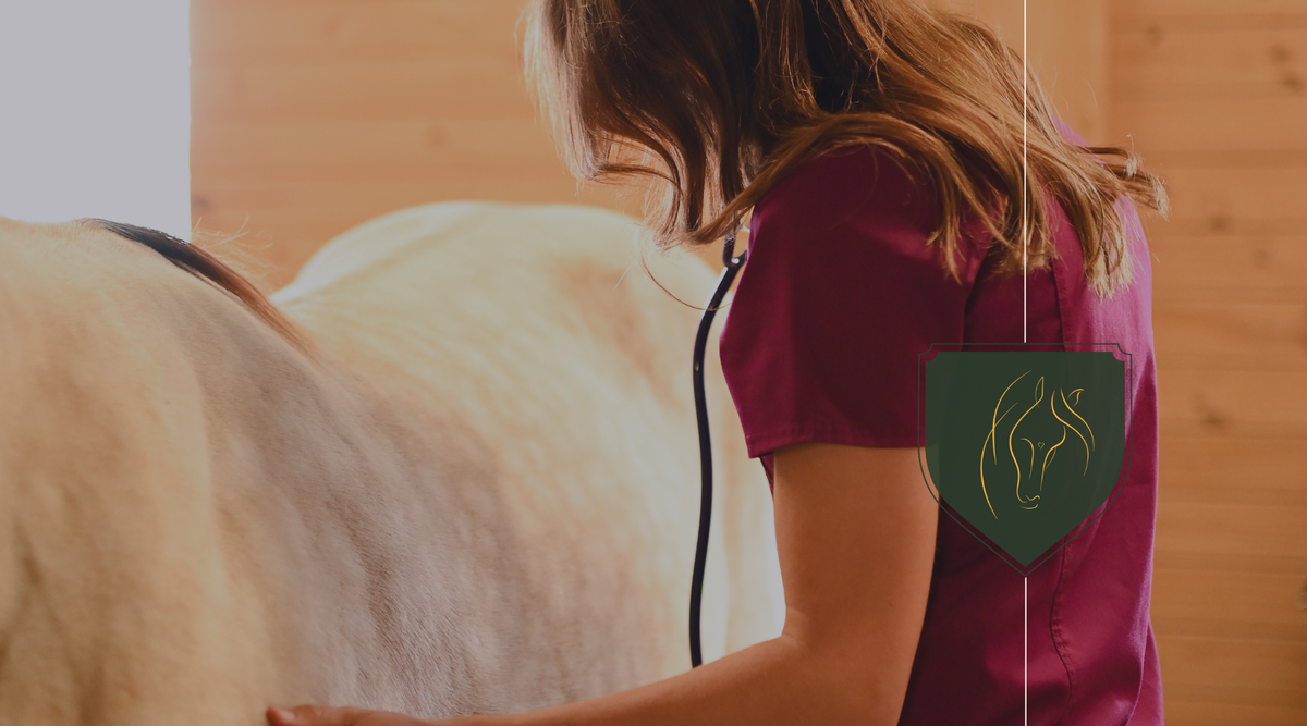 Comprehensive Horse First Aid Guide: Addressing Cuts, Colic, Lameness ...