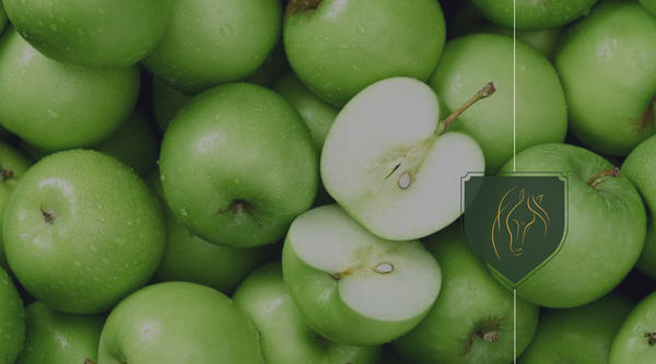 The Vital Role of the Equine Stay Apparatus: Active or Passive and Why ...