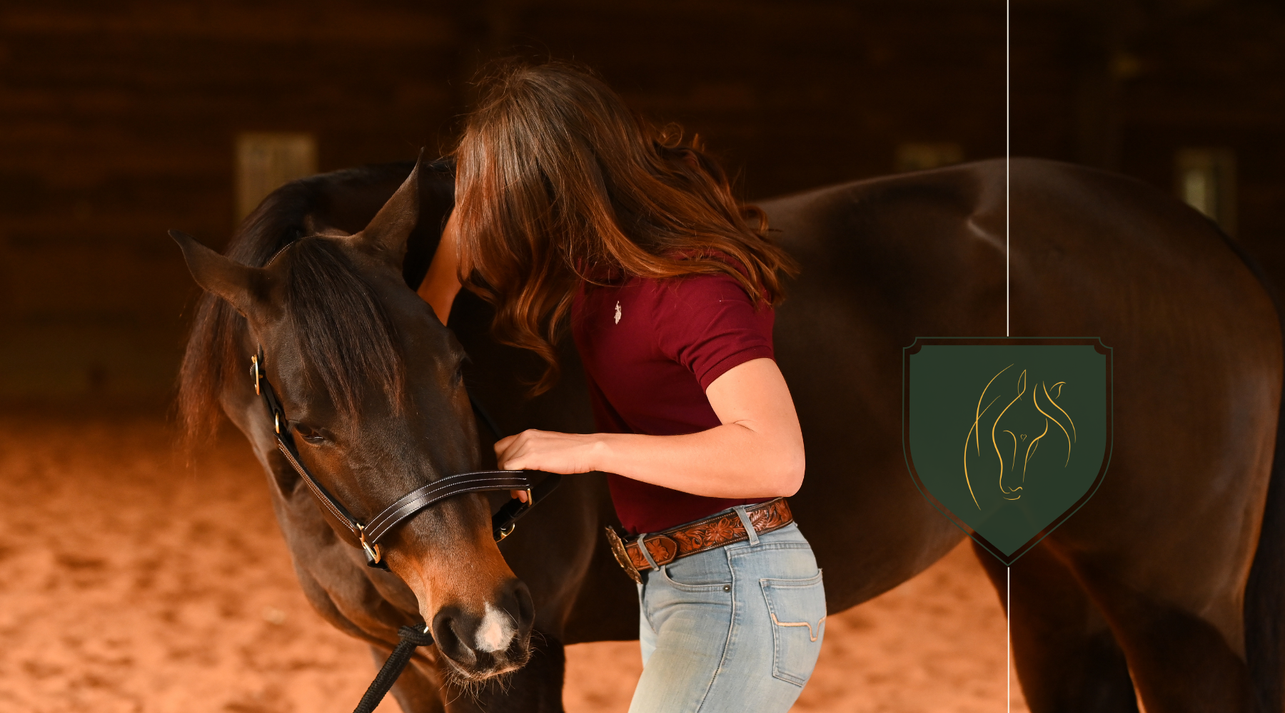 Key Muscles and Joints Targeted in Equine Bodywork