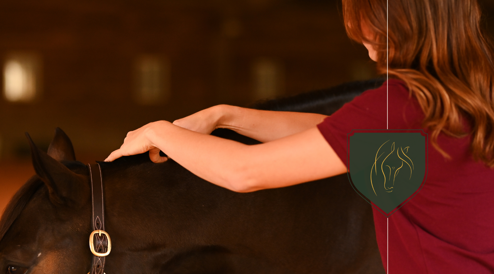 The Role of Equine Bodywork in Horse Wellness and Rehabilitation