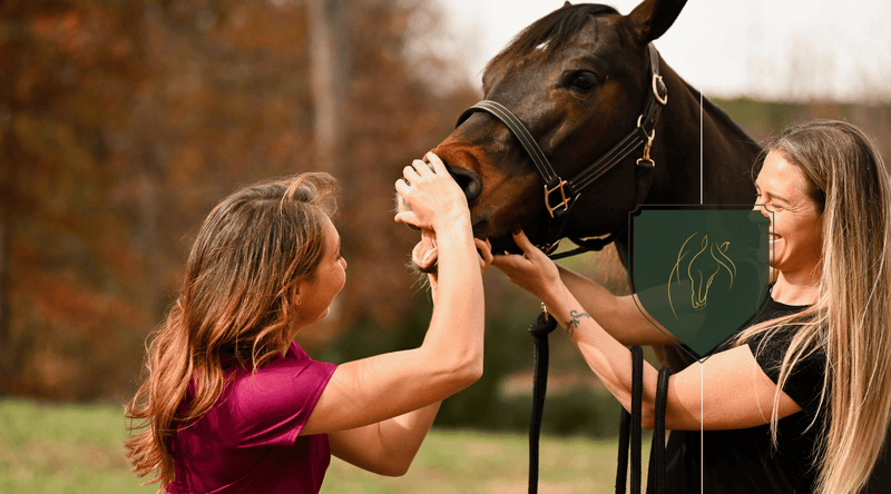 The Vital Role of the Equine Stay Apparatus: Active or Passive and Why ...