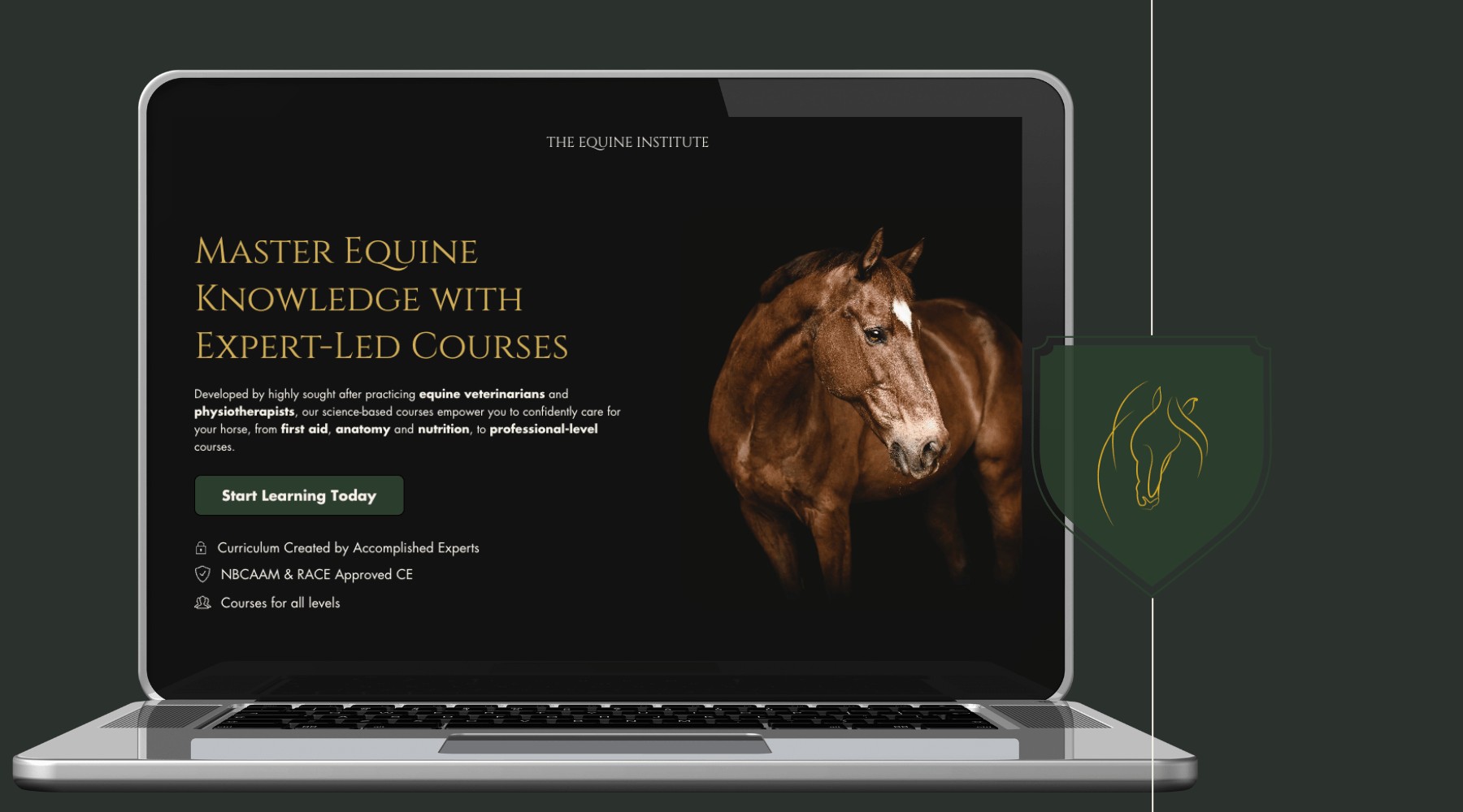 Email Marketing Tips for Equine Professionals