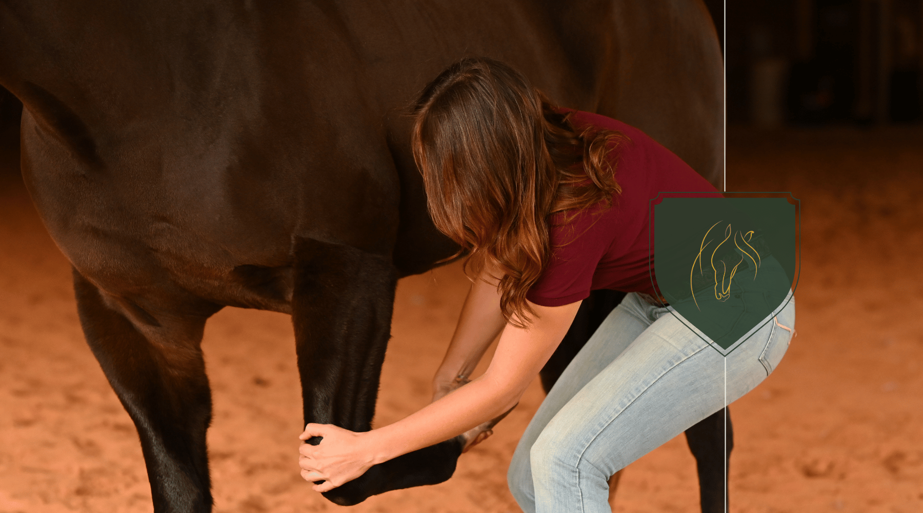 The Science Behind Equine Fascia: Its Role in Horse Health & Treatment