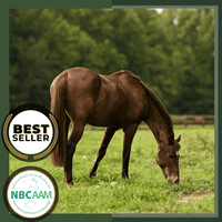 Equine Education | Science-Based Horse Courses Online