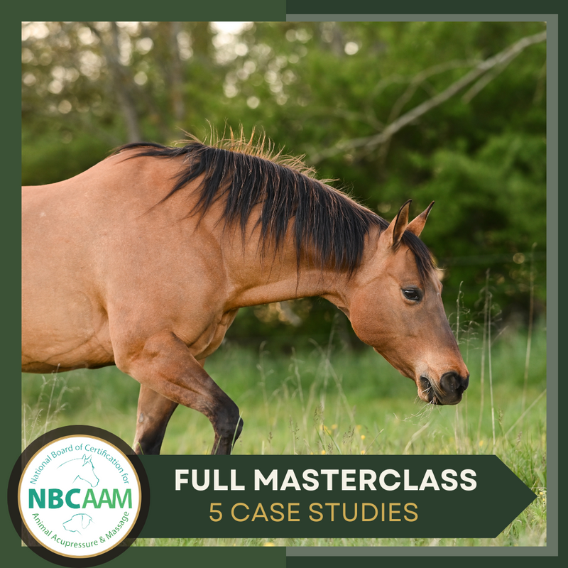 Equine Education | Science-Based Horse Courses Online