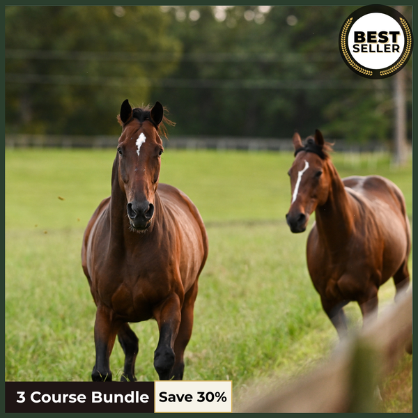 Equine Science and Horse Care Courses Online | The Equine Institute