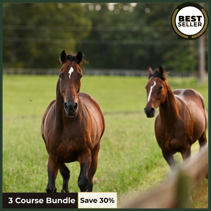 Equine Science and Horse Care Courses Online | The Equine Institute