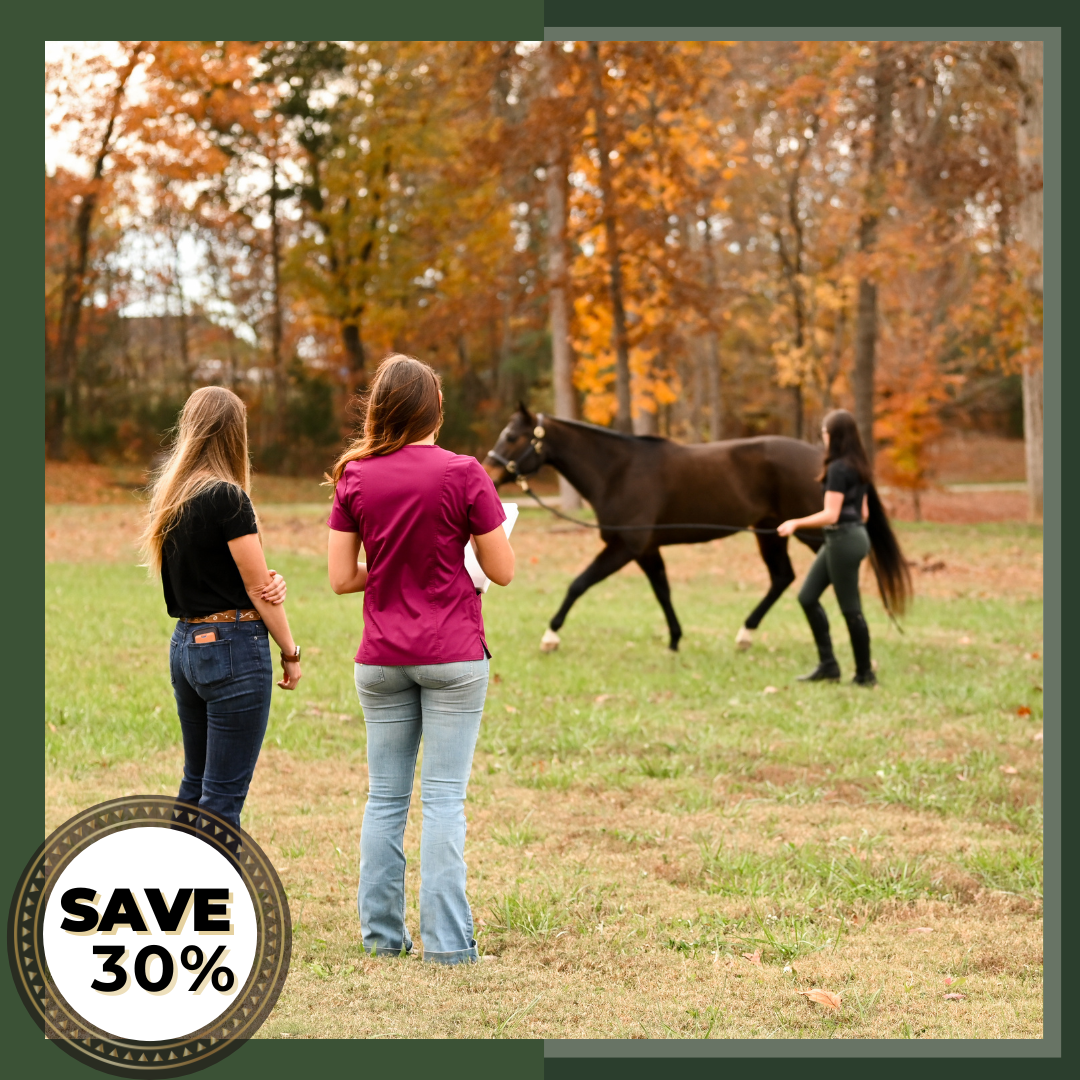 Advanced Equine Vet Tech Course Bundle - Specialized Skills and Techniques