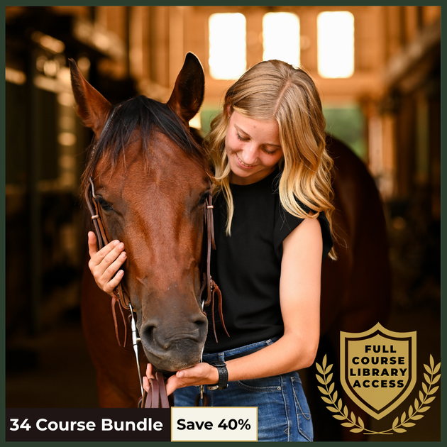 About Equine Institute | Expert-Led Online Equine Courses