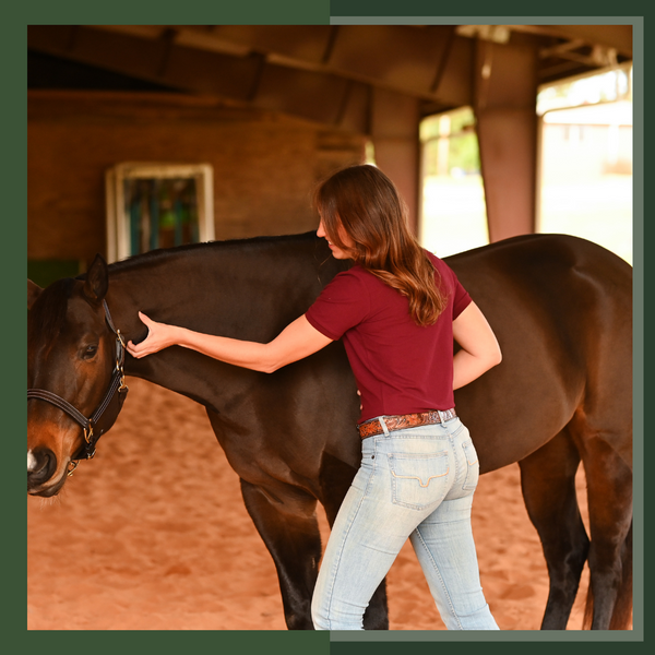 DIY Equine Bodywork for Beginners: Relaxation Techniques and Essential