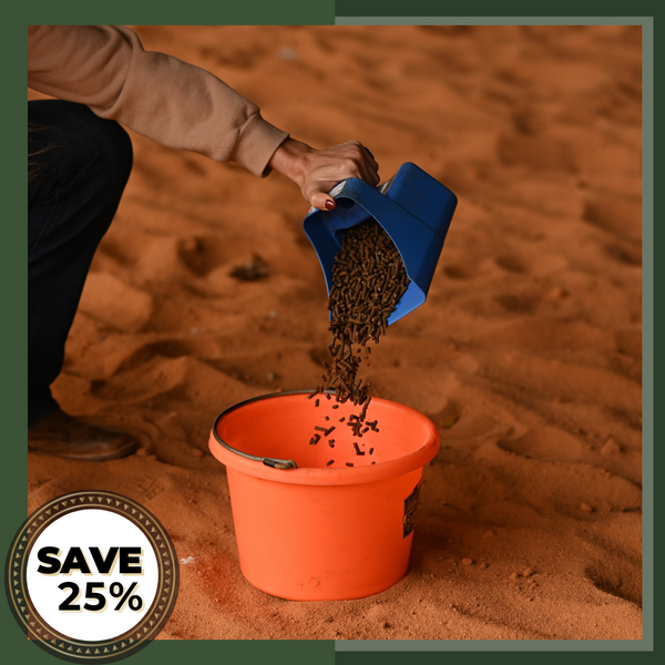 Popular Equine Course Bundles - Save on Top Horse Science Classes