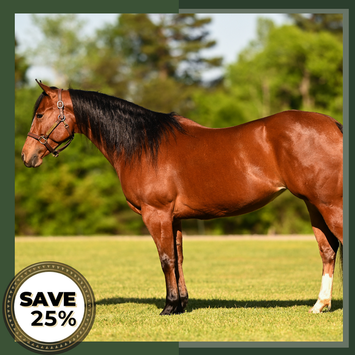 Equine Structure & Movement Pro Bundle | Anatomy, Conformation ...