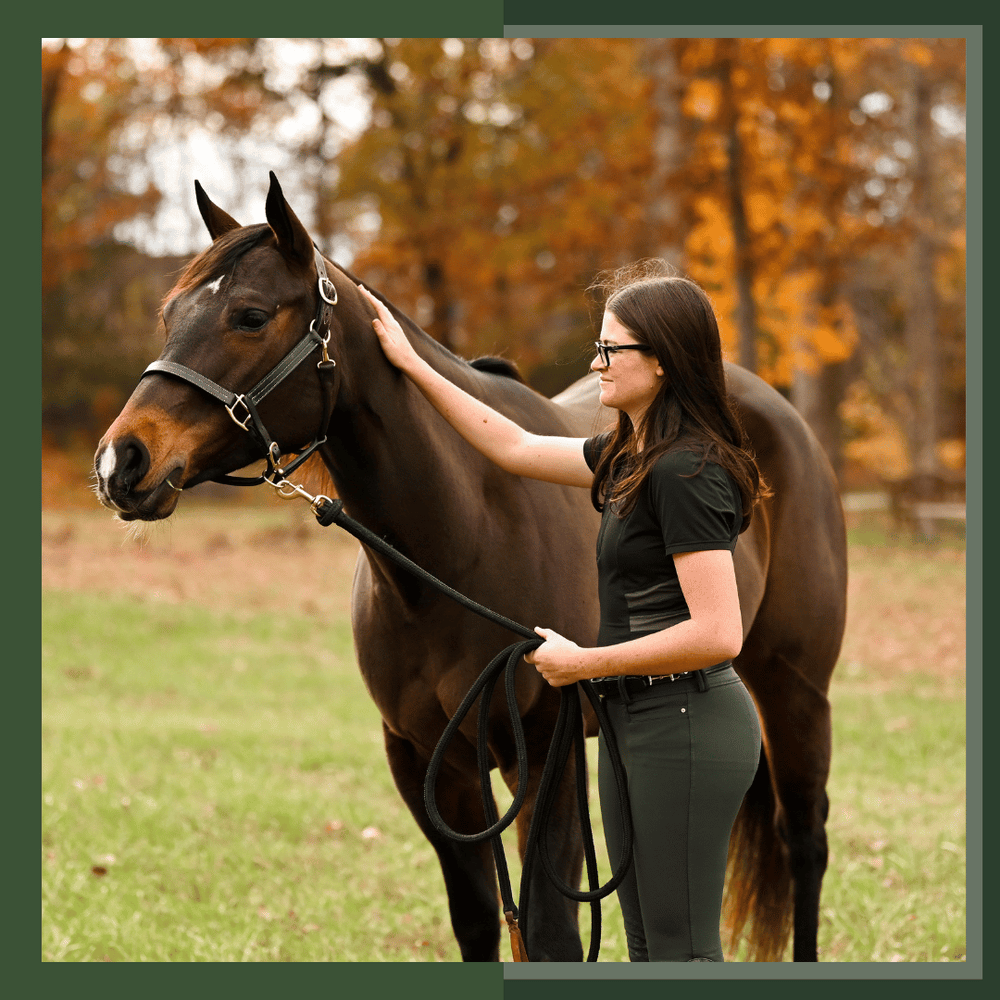 Equine Science Courses for Vet Techs | RACE-Approved CE Credits
