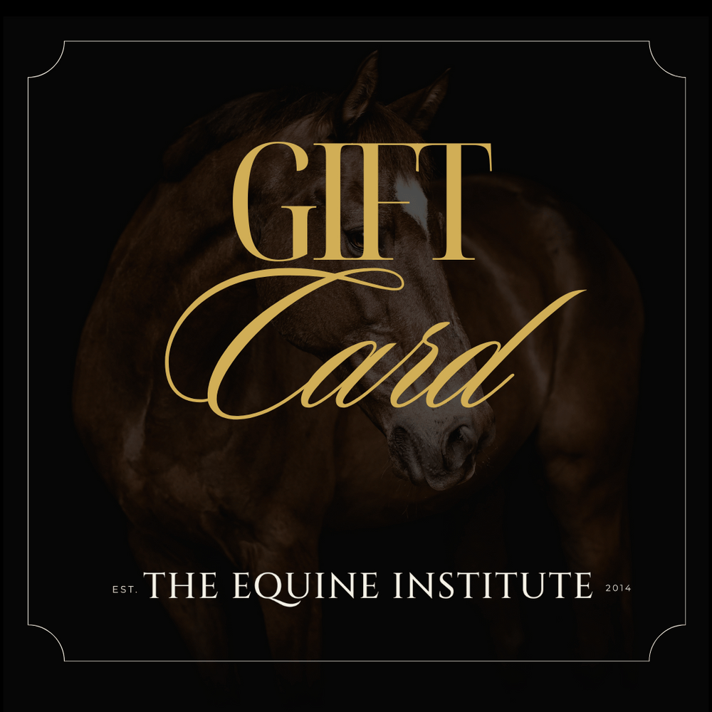 Popular Equine Course Bundles - Save on Top Horse Science Classes