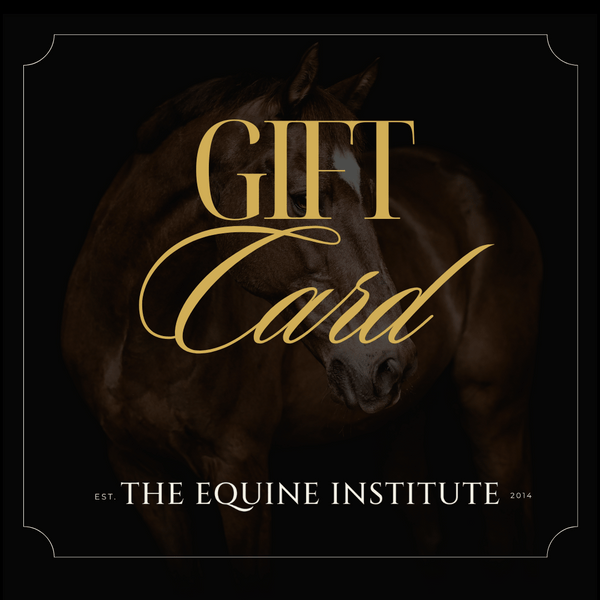 Equine Movement Courses – Anatomy, Biomechanics & Conformation | Equine ...