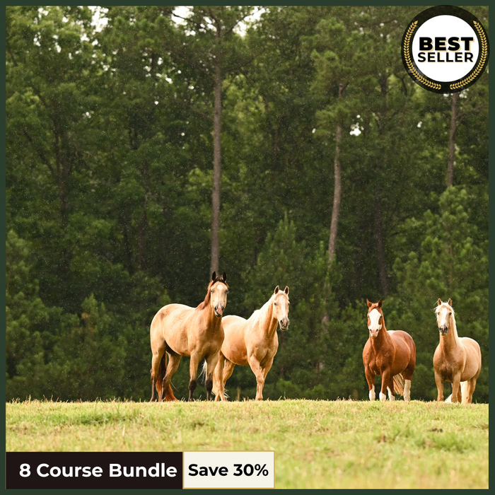 Homeschool Equine Science Bundle – High School Level