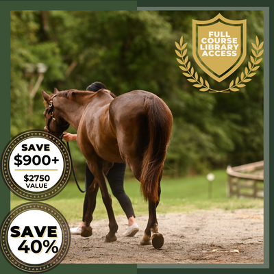 Popular Equine Course Bundles - Save on Top Horse Science Classes