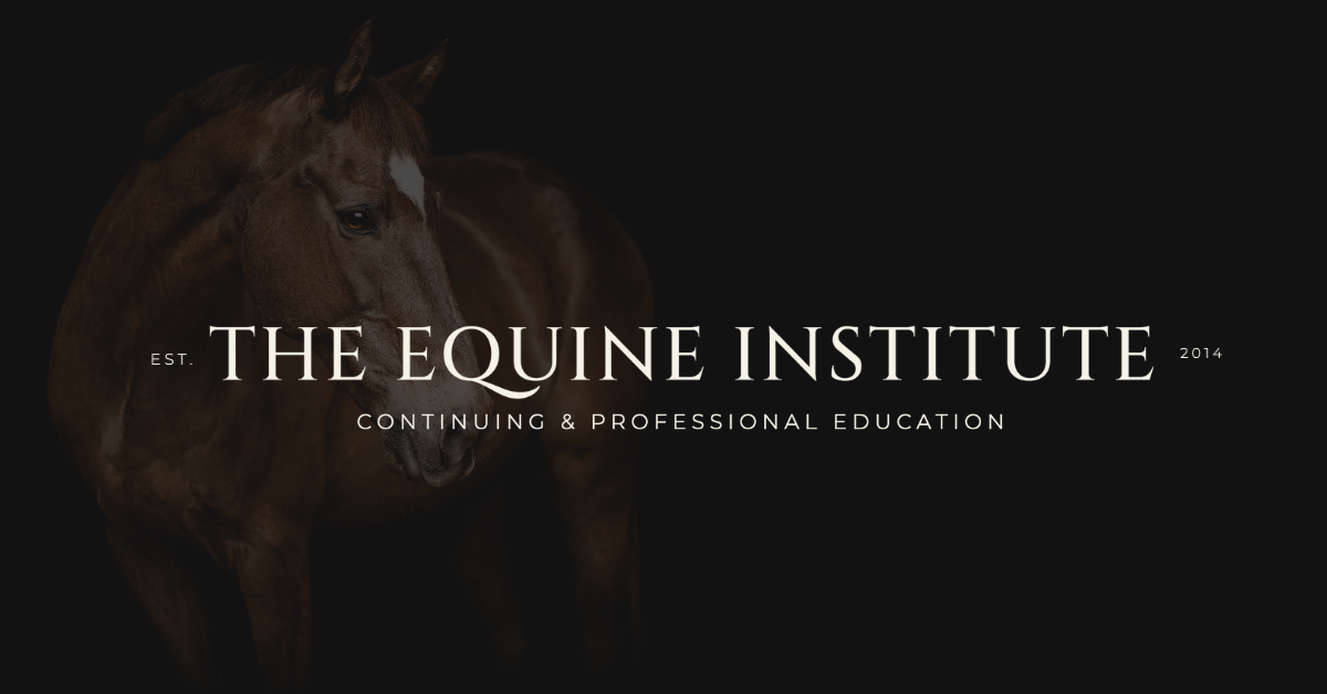 Homeschool Horse Science Bundles | Equine Curriculum for Kids